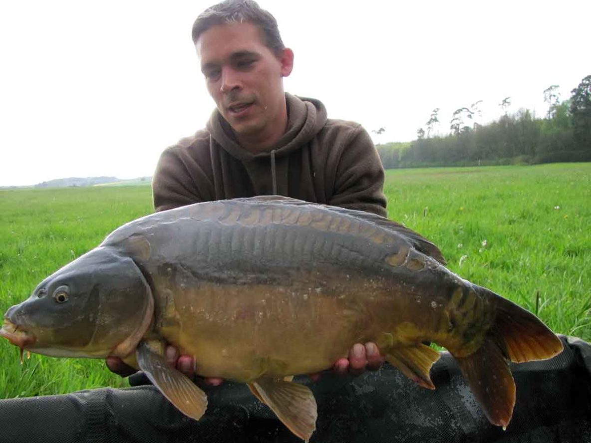 Carphunter Germany - Karpfenangeln - Montagen - Videos - Tipps - Infos ...