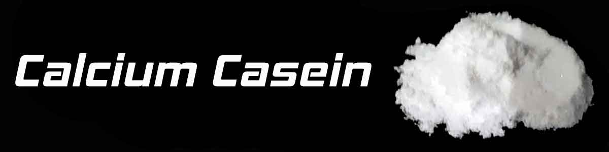 Calcium Casein - Carphunter Germany